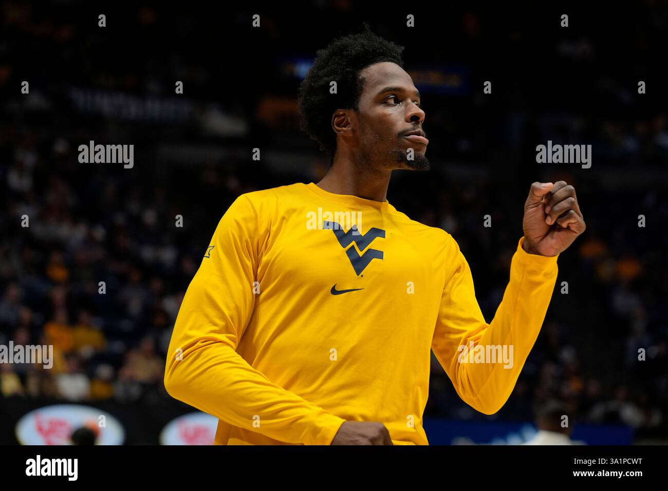 March 8, 2025, Morgantown, West Virginia, USA: March 8, 2025: Toby ...