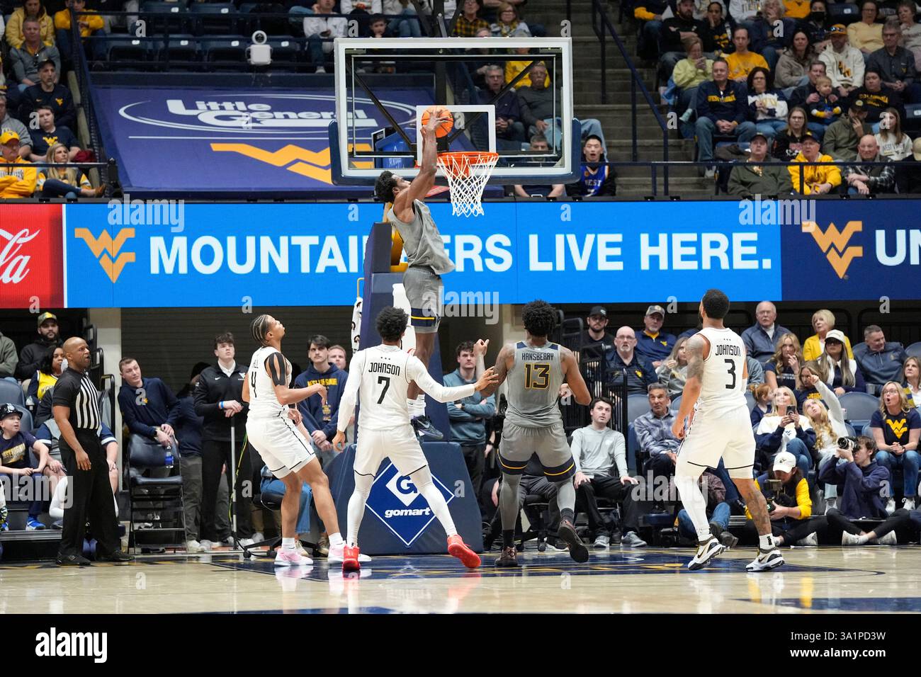 March 8, 2025, Morgantown, West Virginia, USA: March 8, 2025: Toby ...