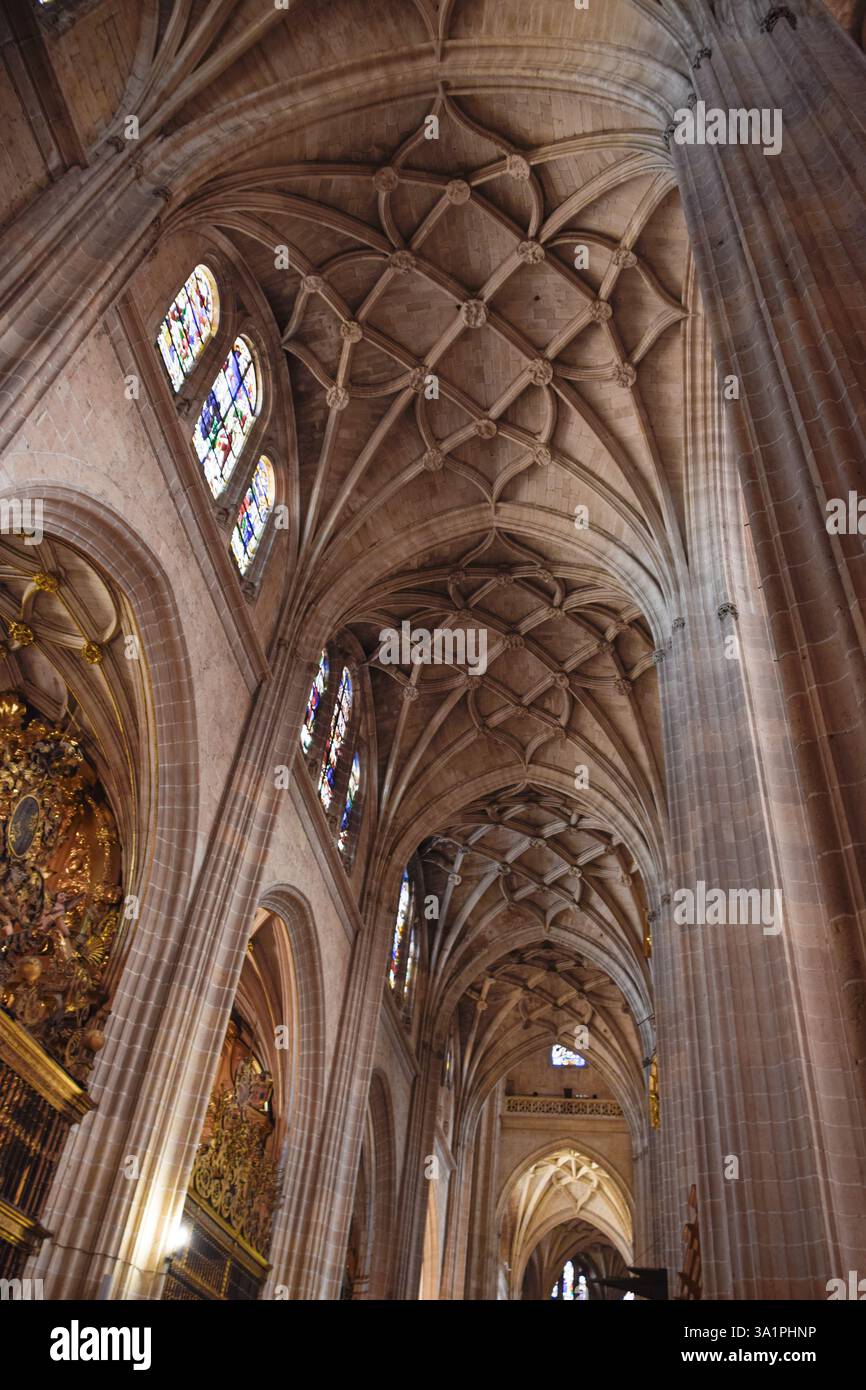 Late Gothic ribbed vaults and interlocking ribs in Gothic Cathedral of ...