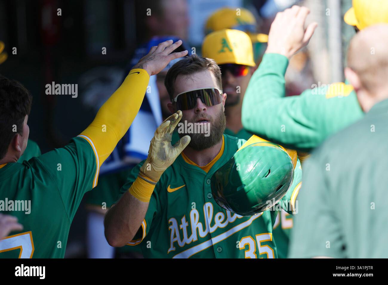 Athletics' Drew Avans celebrates after his home run against the Los ...