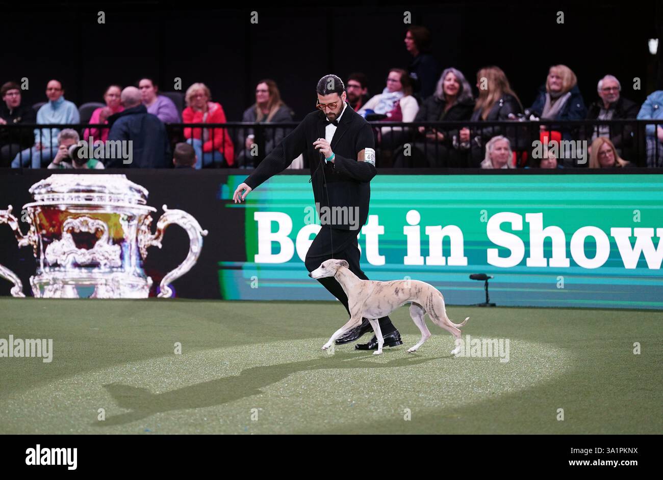 Giovanni Liguori from Italy with whippet Miuccia, winner of the Best in ...