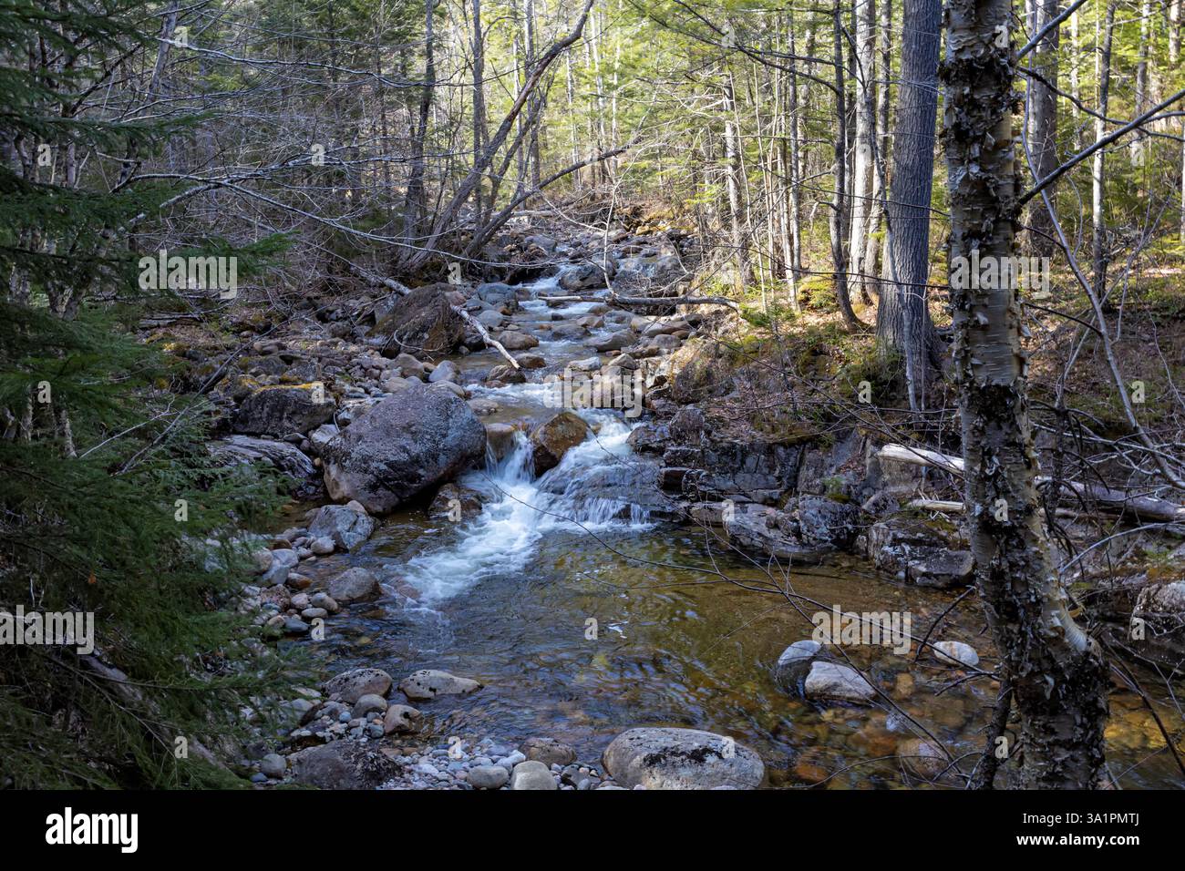 Hiking the White Mountains National Forest Stock Photo - Alamy