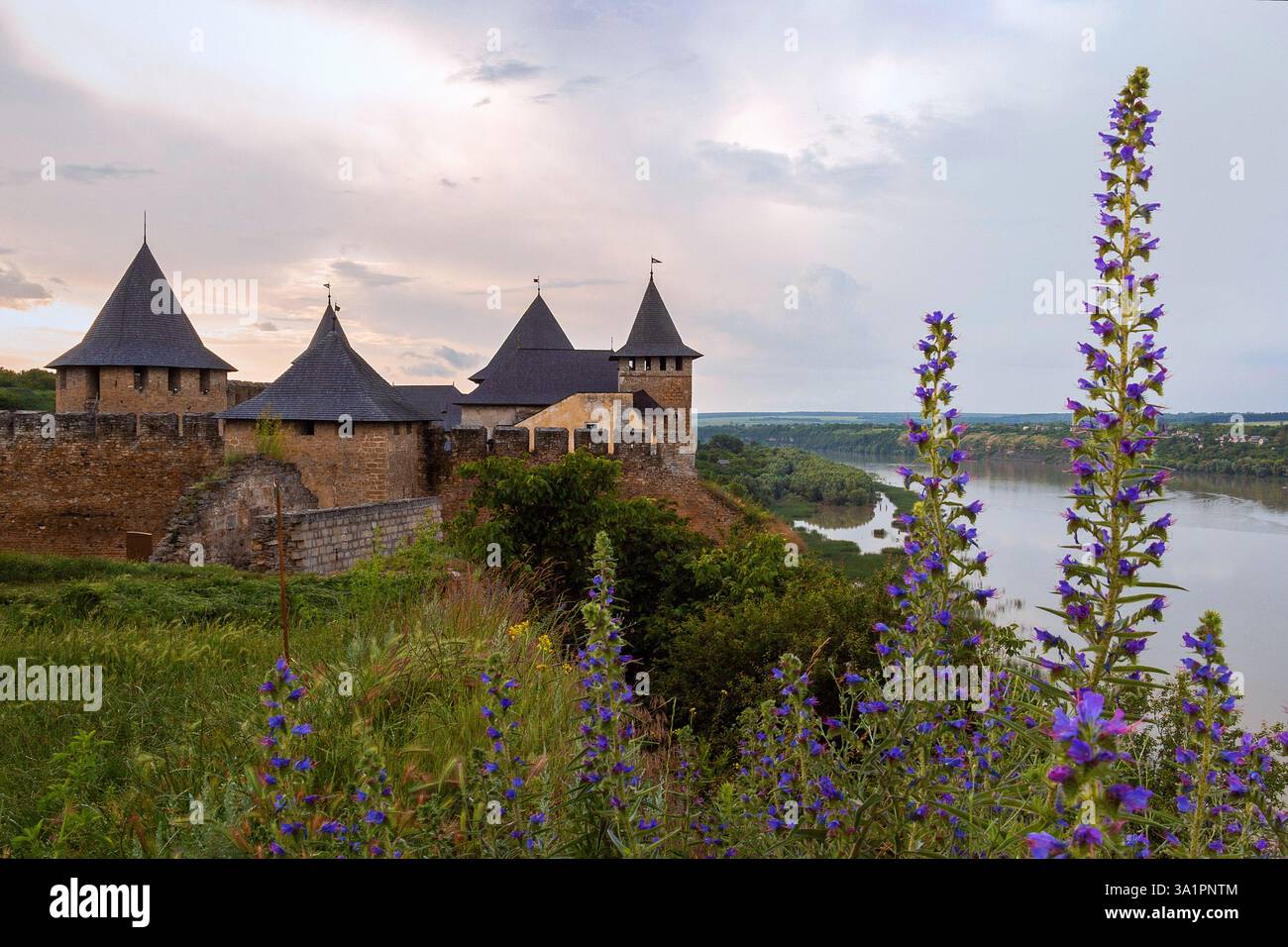 Scenic medieval castle overlooking a river, surrounded by wildflowers ...