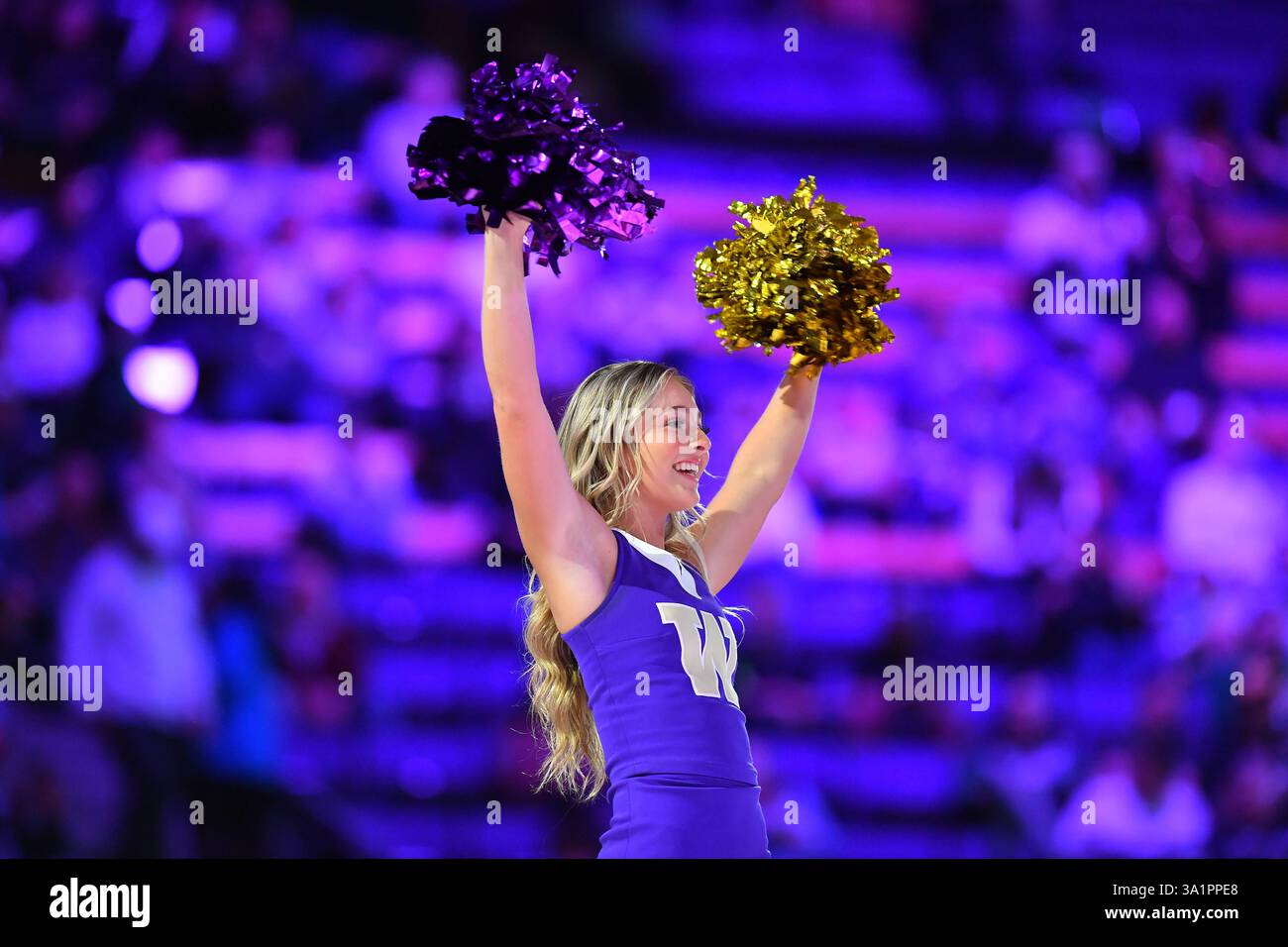 March 09, 2025: A Washington cheerleader during the NCAA Basketball ...