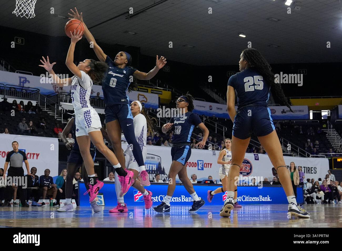 High Point guard Aaliyah Collins, left, shoots the ball past Longwood ...