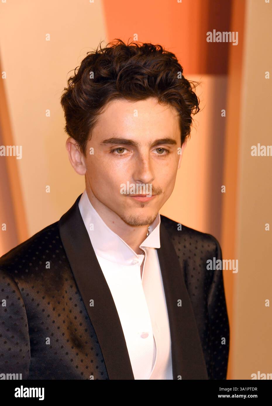 BEVERLY HILLS, CALIFORNIA - MARCH 02: Timothée Chalamet attends the 2025 Vanity Fair Oscar Party ...