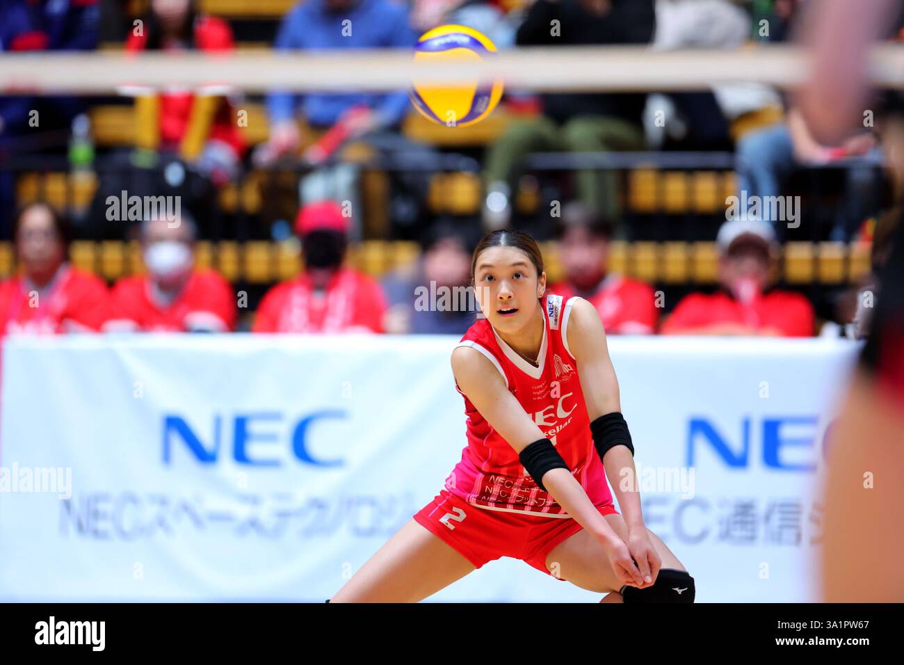 Ota-City General Gymnasium, Tokyo, Japan. 9th Mar, 2025. Yoshino Sato (NEC), MARCH 9, 2025 ...