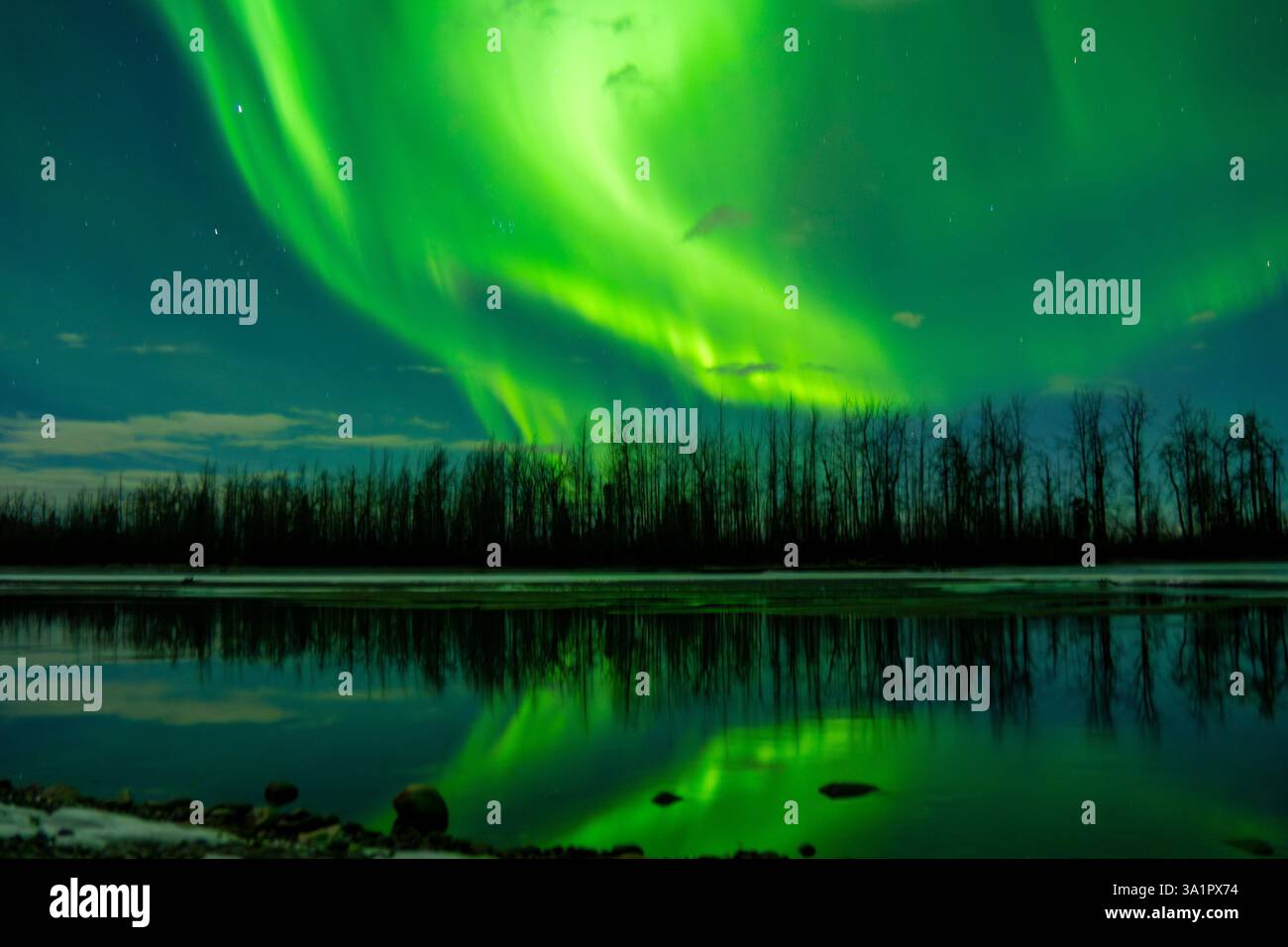 Palmer, Alaska, USA. 9th Mar, 2025. Palmer, Alaska, USA - March 9, 2025 ...