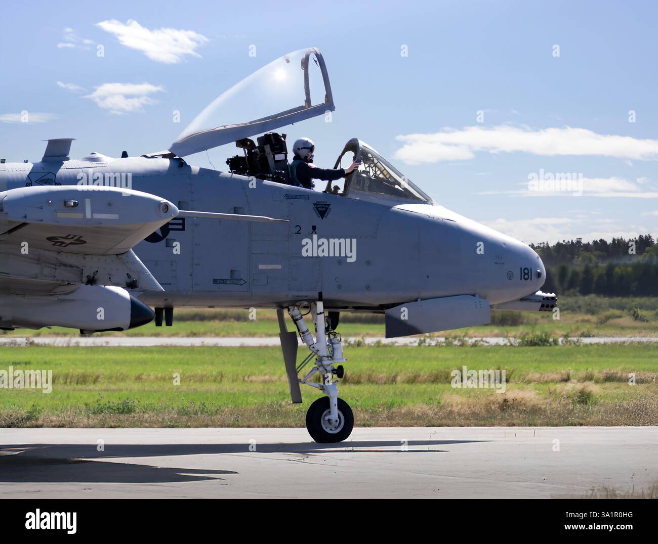 A10 warthog aircraft hi-res stock photography and images - Alamy