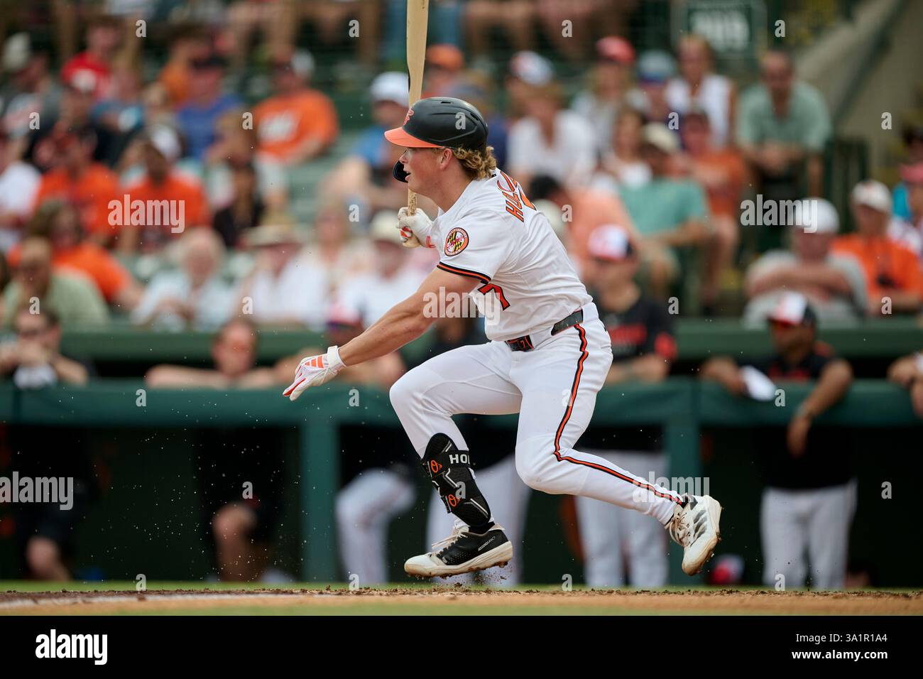 Baltimore Orioles Jackson Holliday (7) at bat during an MLB Spring ...
