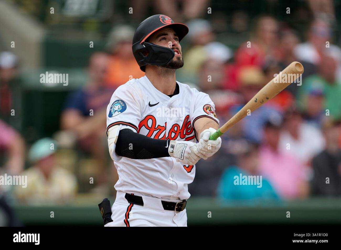 Baltimore Orioles Terrin Vavra (54) at bat during an MLB Spring ...