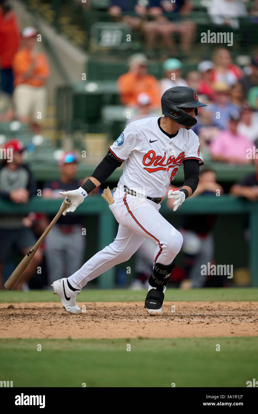 Baltimore Orioles Frederick Bencosme (82) at bat during an MLB Spring ...