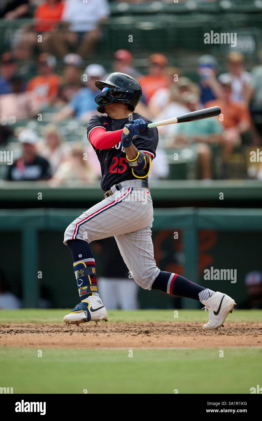 Minnesota Twins Danny De Andrade (25) at bat during an MLB Spring ...