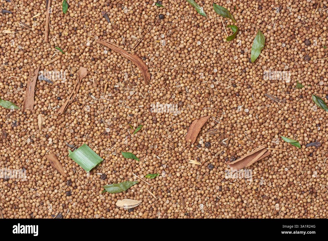 pile of roasted coriander seeds with other aromatic spices, cinnamon ...