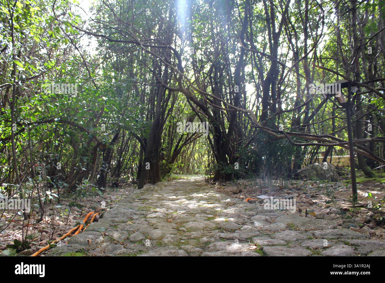 Scenic cobblestone path winds hi-res stock photography and images - Alamy
