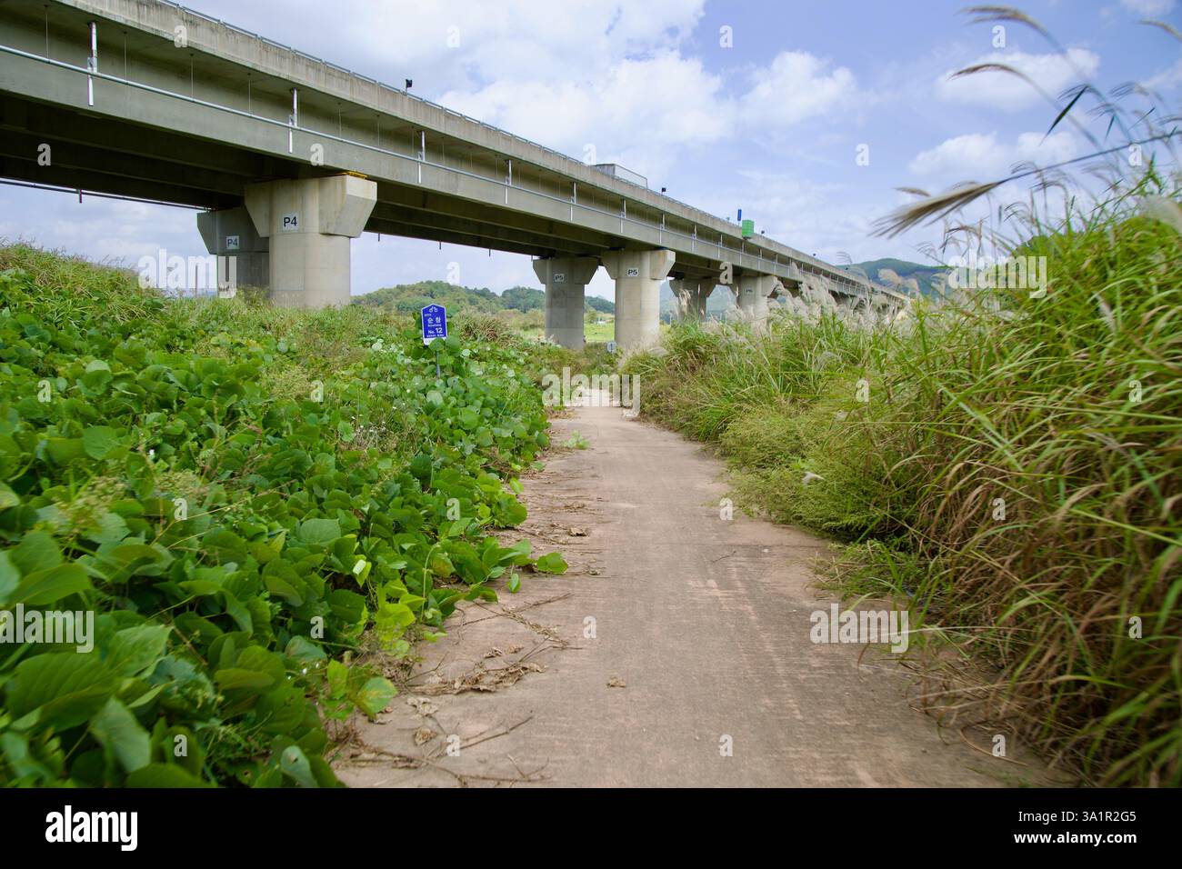 Backroad korea hi-res stock photography and images - Alamy