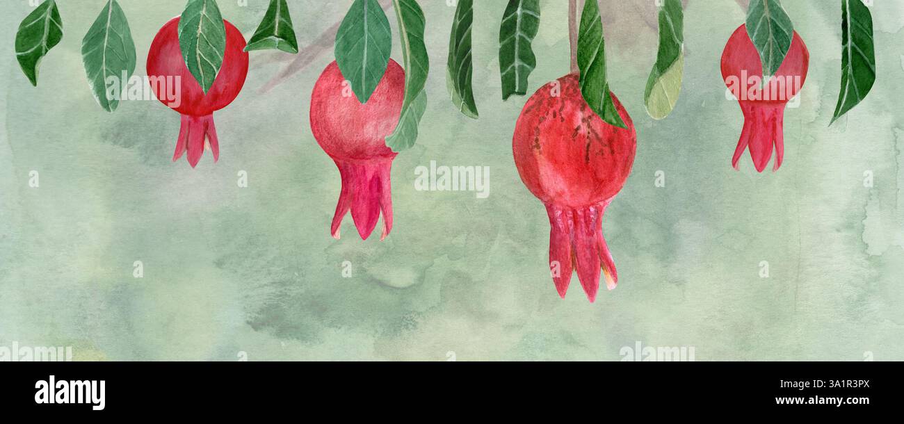 Four textured pomegranates with leaves watercolor border on light ...