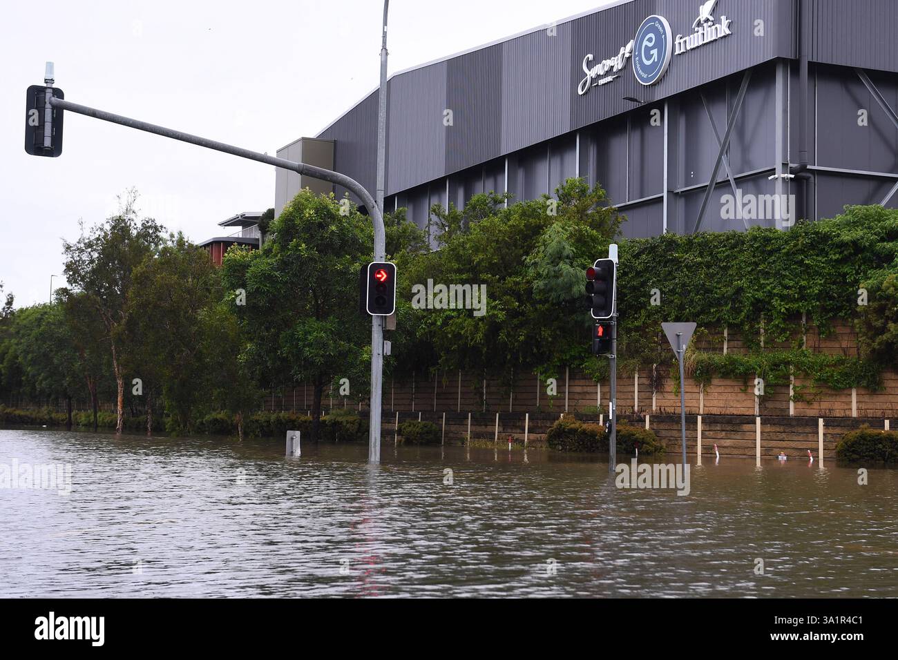 Brisbane, Australia. 10th Mar, 2025. A flooded road at Rocklea in ...