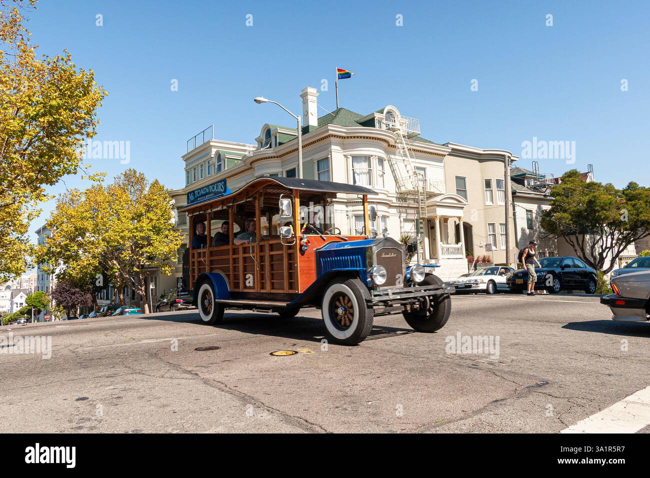 Northern toads hi-res stock photography and images - Alamy