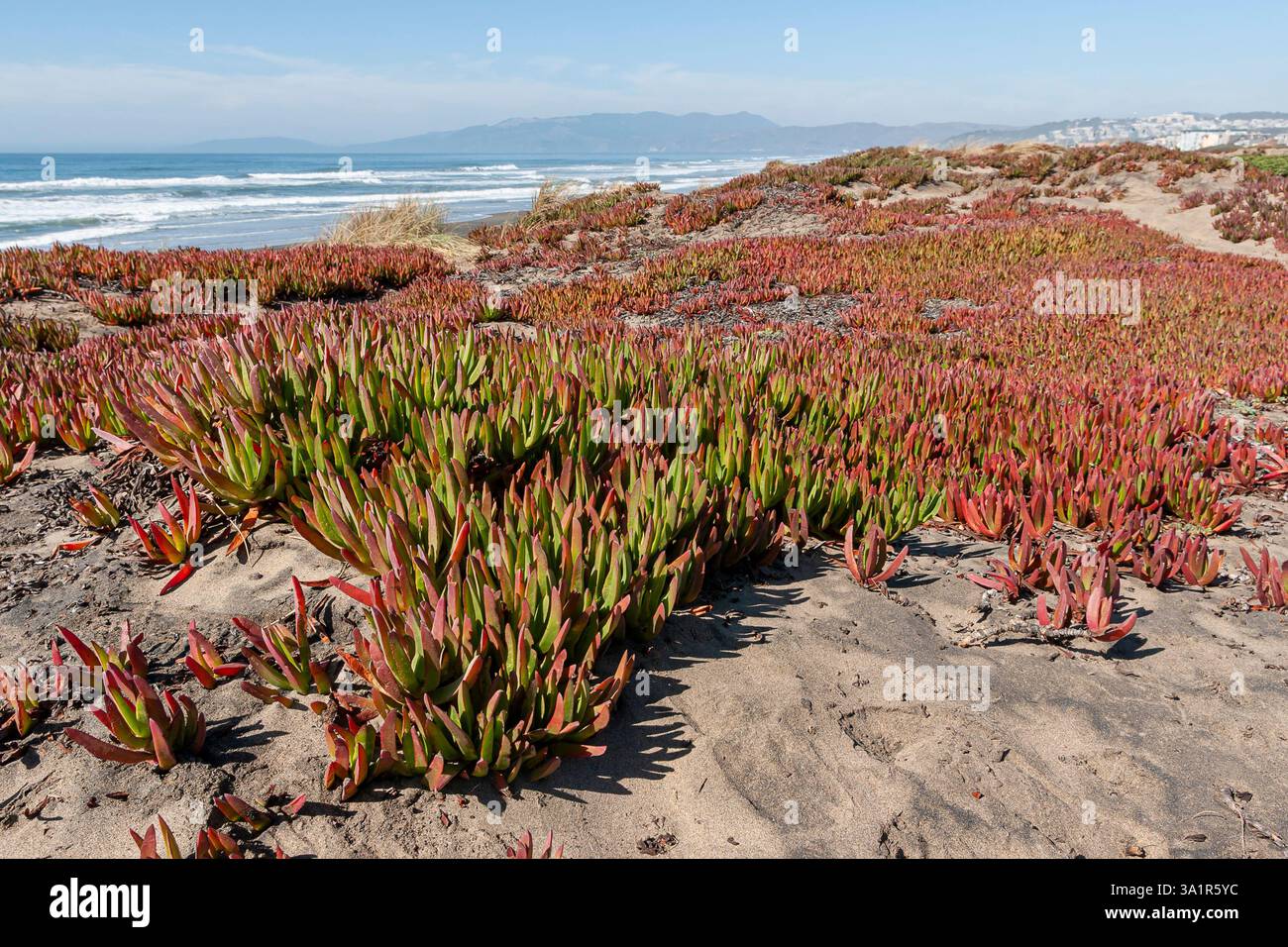 The beach by Lower Great Highway Park, Outer Sunset Stock Photo - Alamy