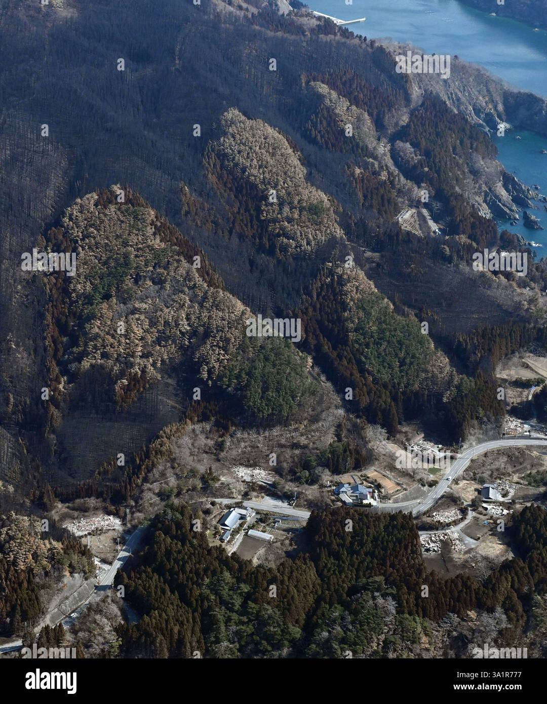 Aerial photographs show mountains damaged by forest fires in Ofunato ...