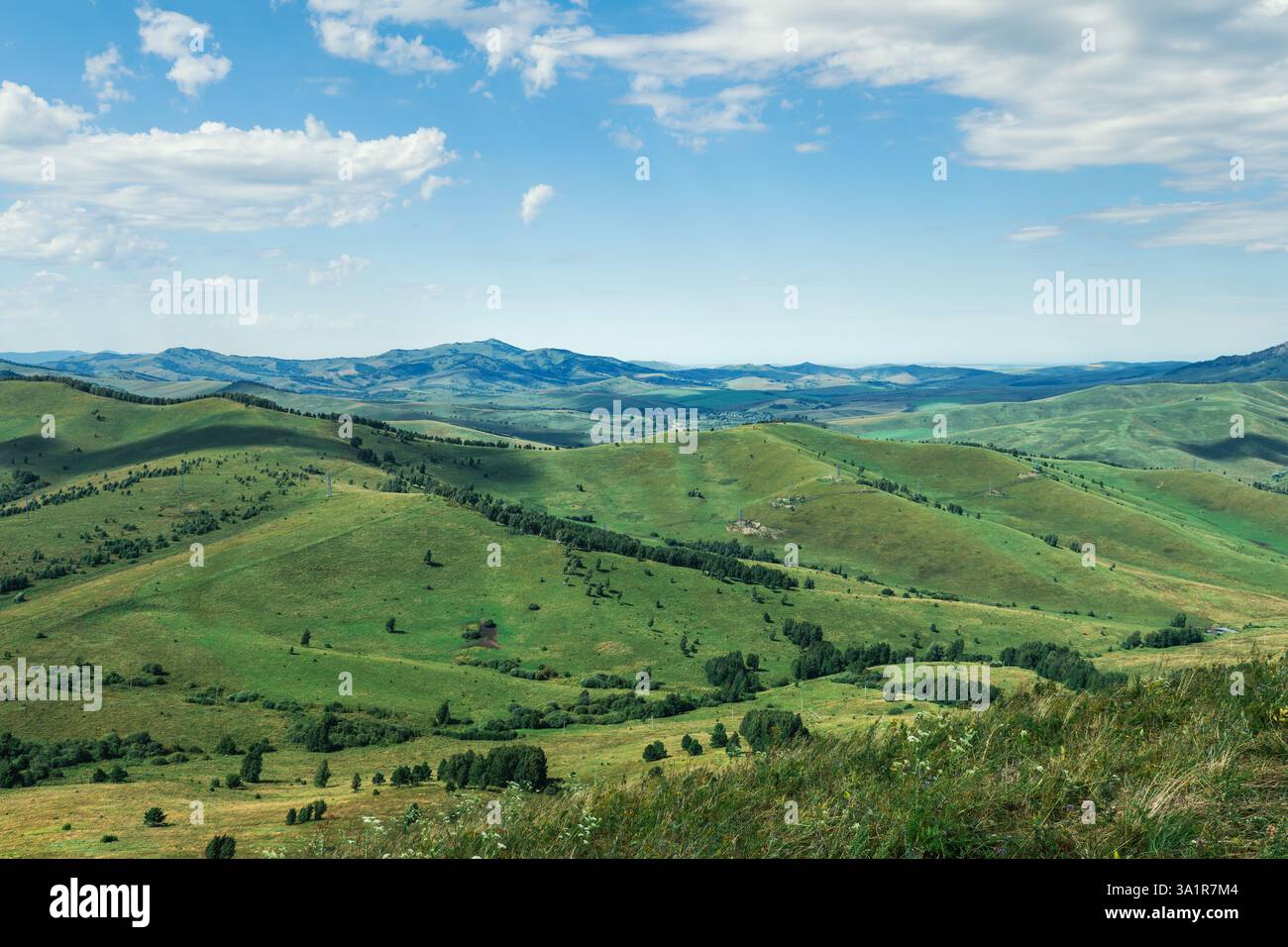 valley landscape with dry grasses and wildflowers and a vast expanse of ...