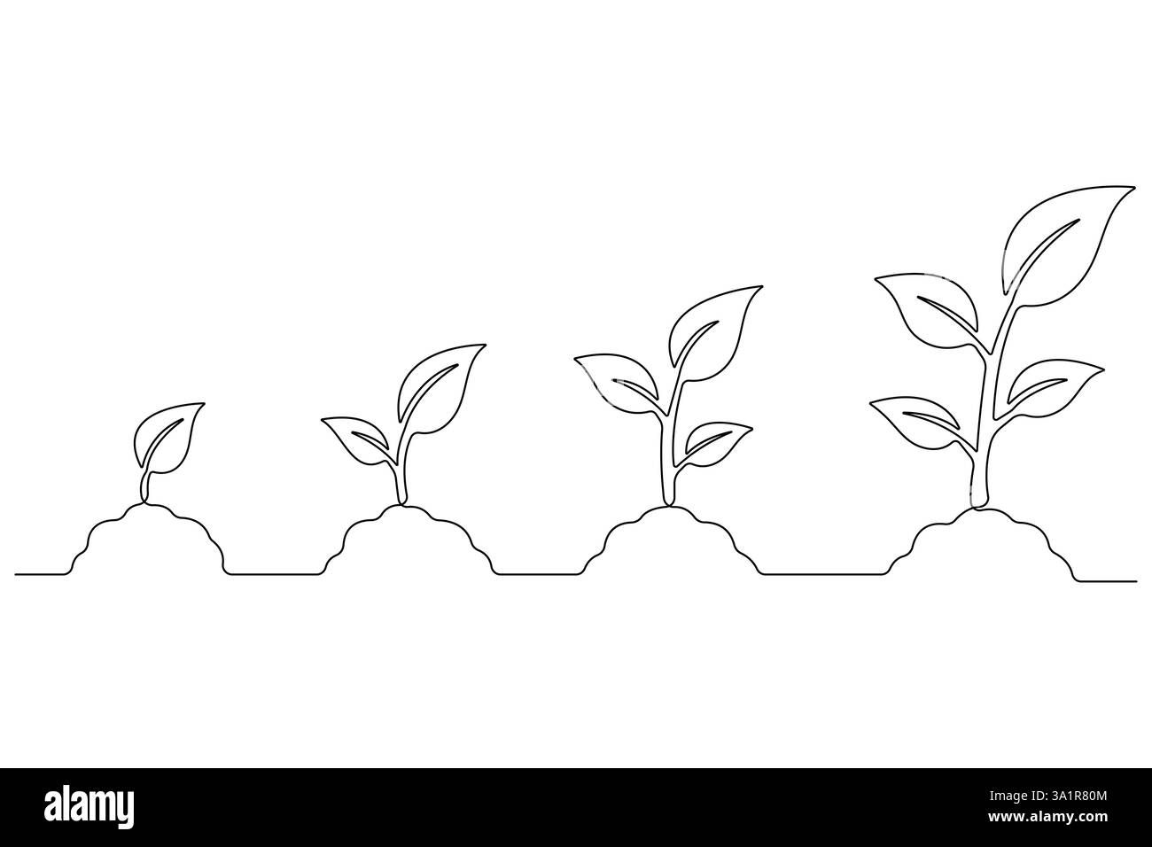 Continuous single line art drawing of plant growth processing from seed ...