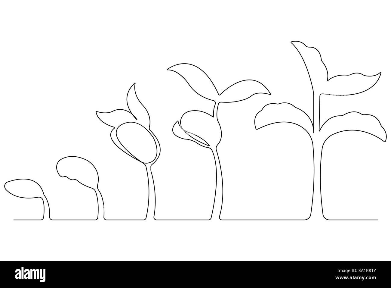 Continuous single line art drawing of plant growth processing from seed ...