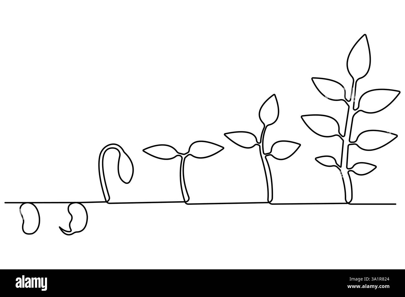 Continuous single line art drawing of plant growth processing from seed ...