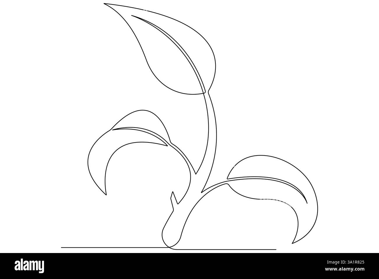 Continuous single line art drawing of plant growth processing from seed ...