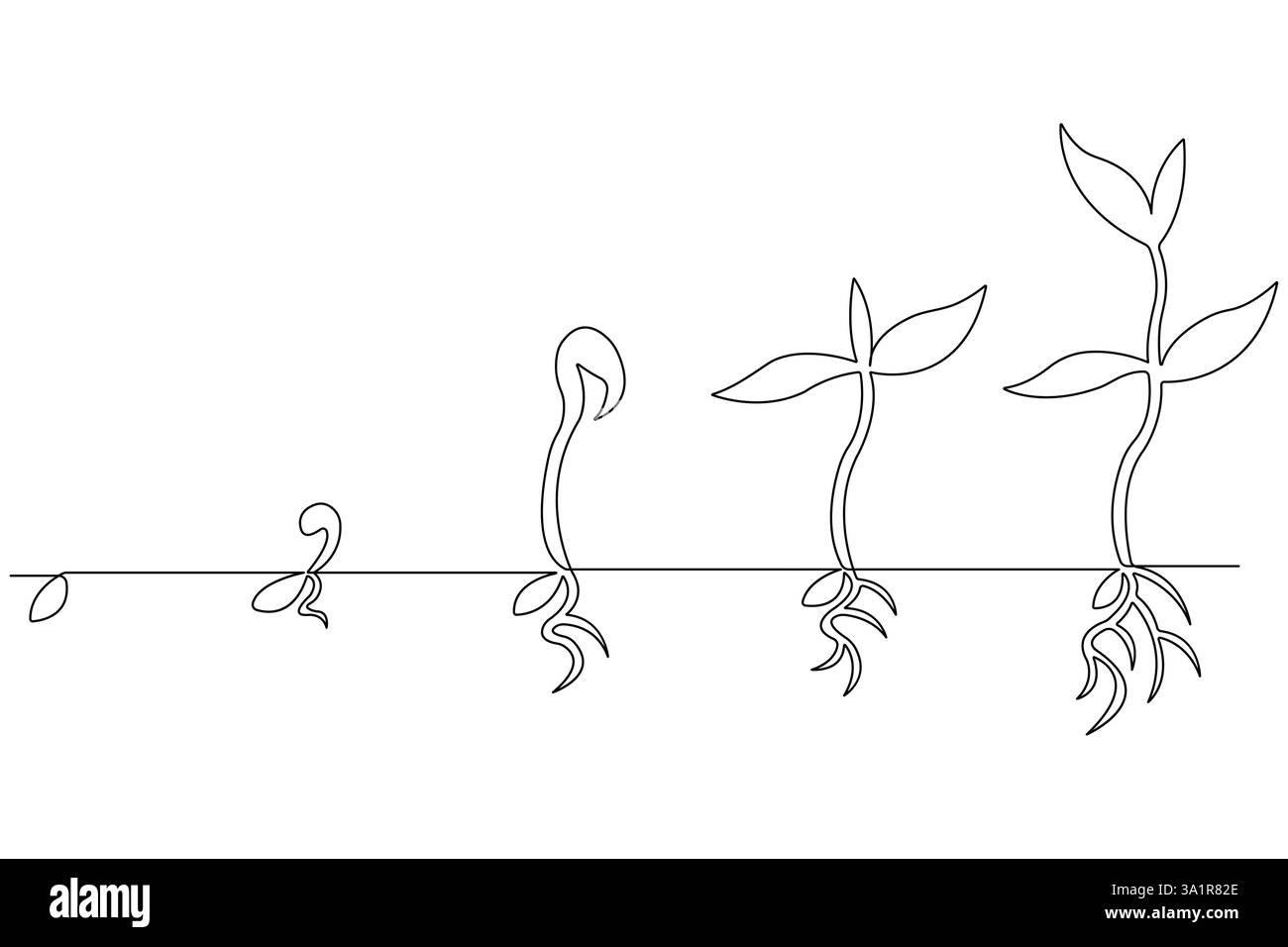 Continuous single line art drawing of plant growth processing from seed ...