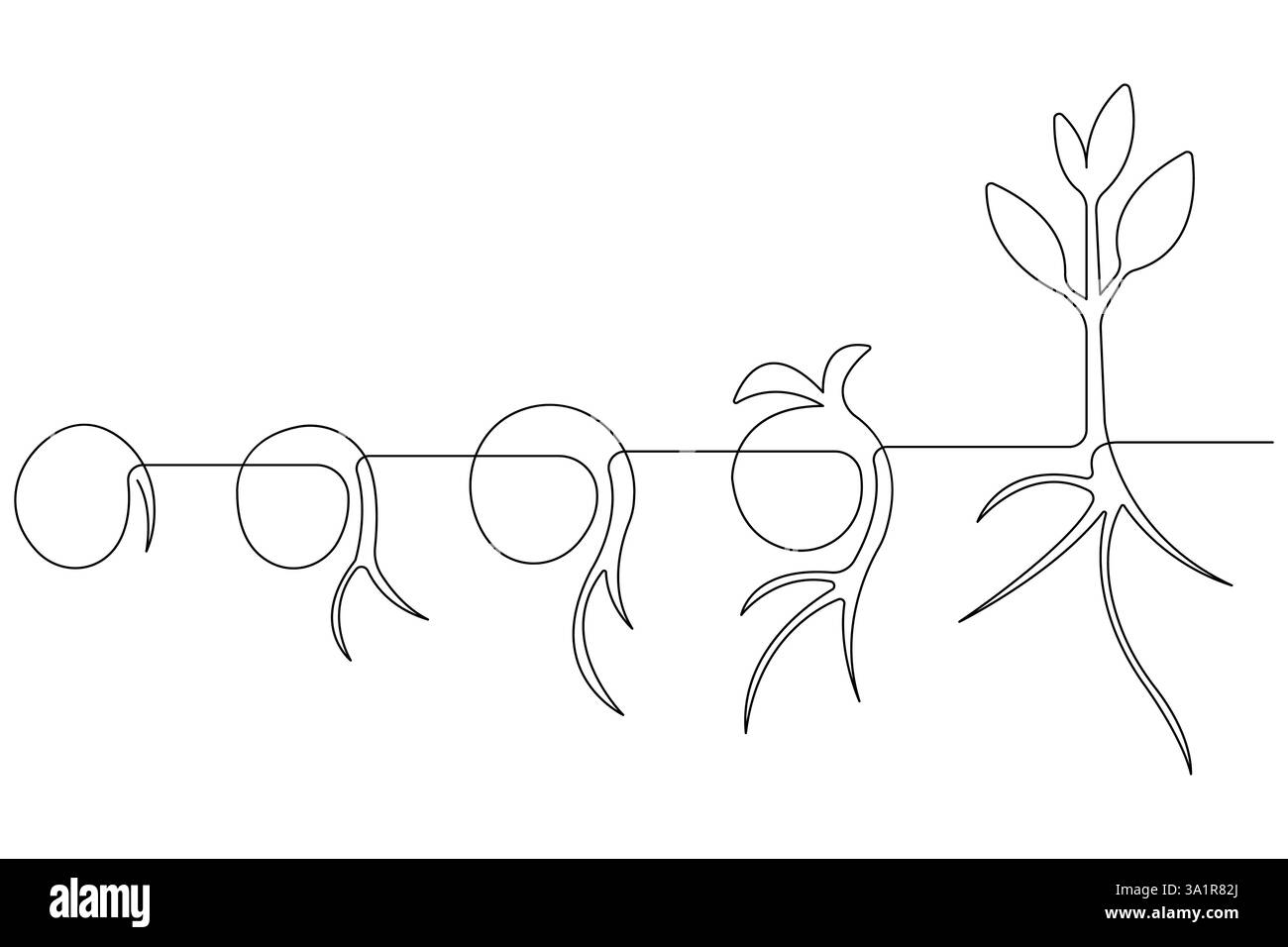 Continuous single line art drawing of plant growth processing from seed ...