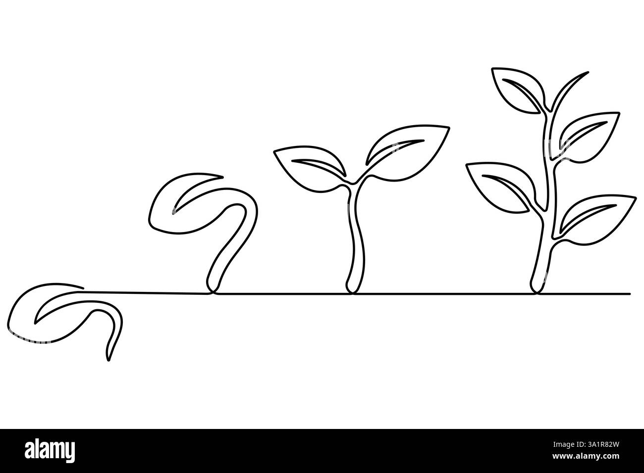 Continuous single line art drawing of plant growth processing from seed ...