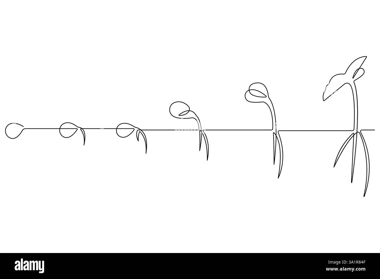 Continuous single line art drawing of plant growth processing from seed ...