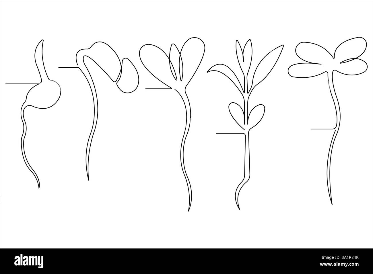 Continuous single line art drawing of plant growth processing from seed ...