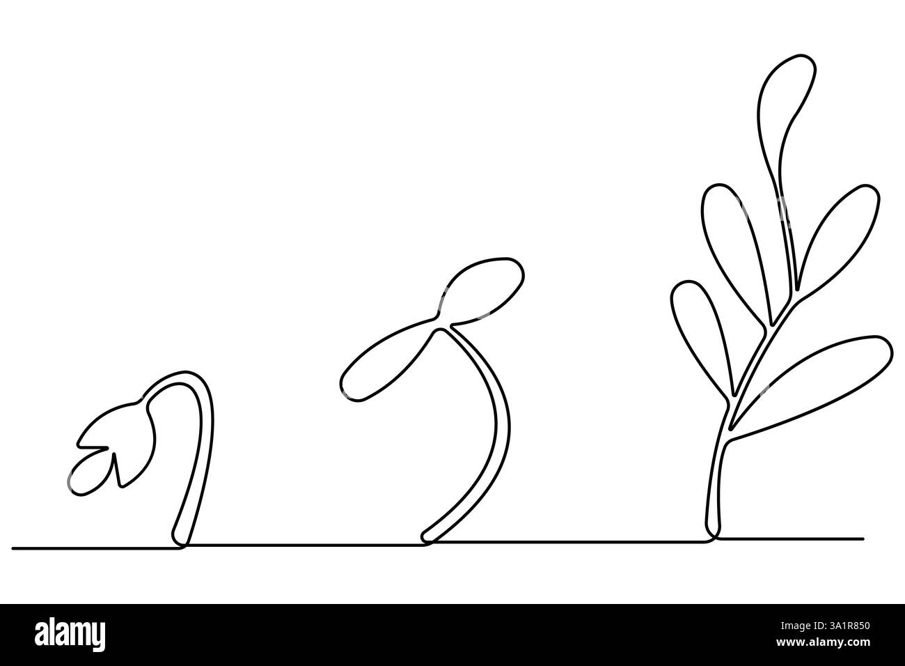 Continuous single line art drawing of plant growth processing from seed ...