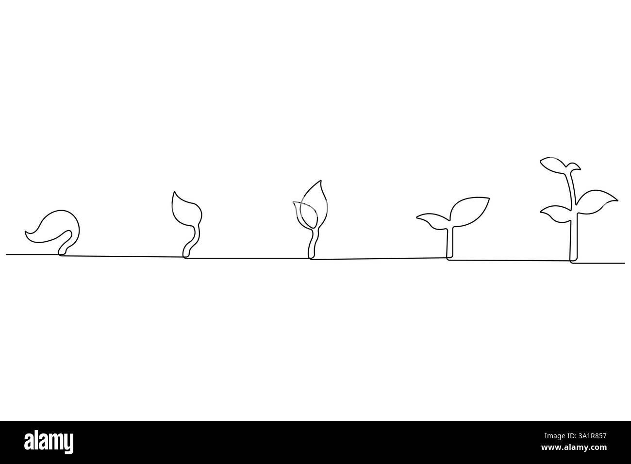 Continuous single line art drawing of plant growth processing from seed ...
