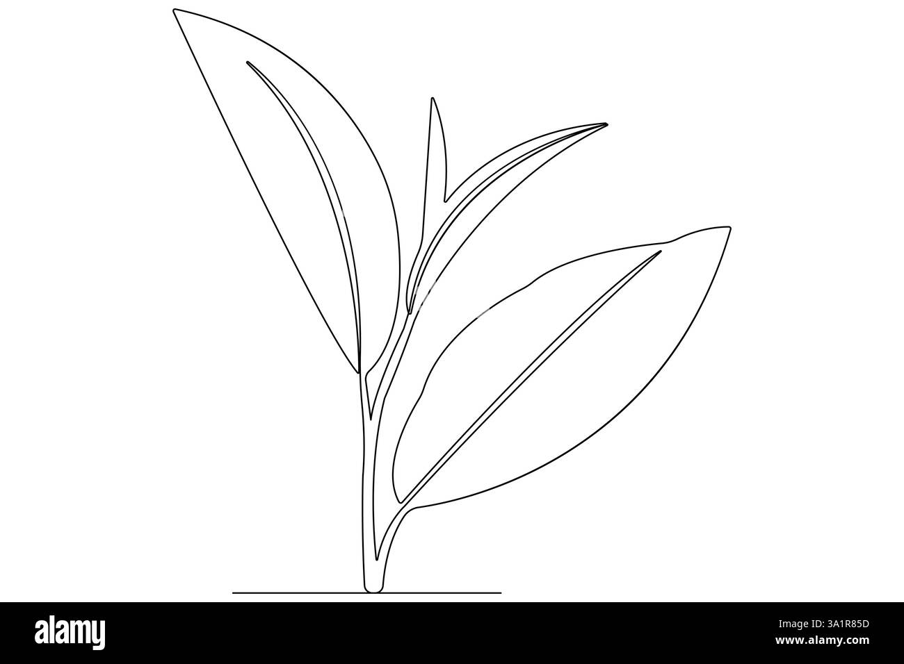 leaf single line vector Stock Vector Image & Art - Alamy