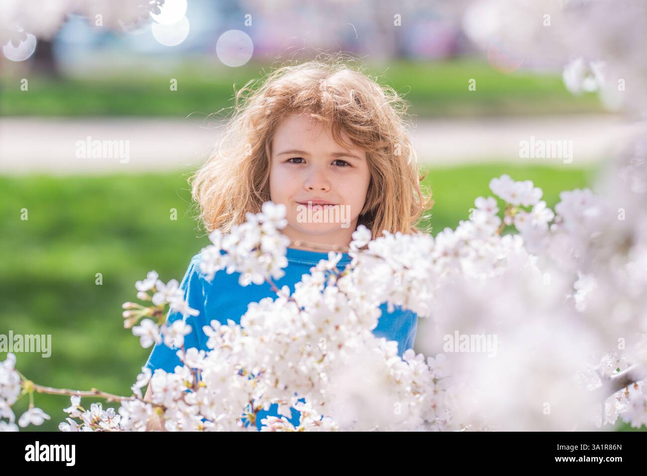 The spring holidays. Happy kid playing under blooming cherry tree with ...