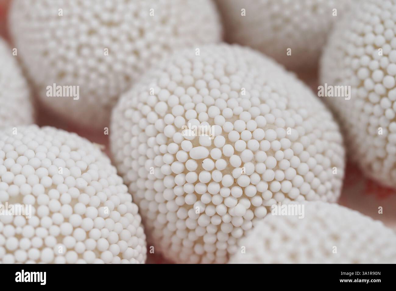 Unique white spherical structures with textured surfaces on display ...