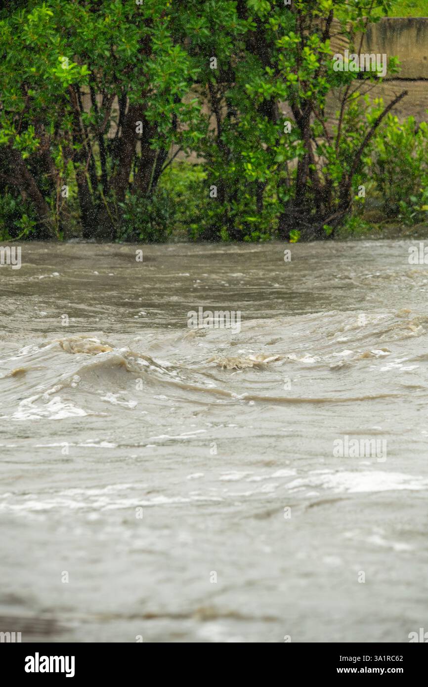 Local flood waters in Brisbane, Queensland after heavy rain caused by ...