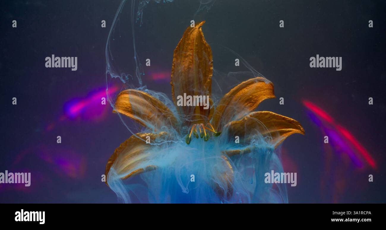 Art mist. Smoke paint. Blue pigment cloud splash on natural flower ...