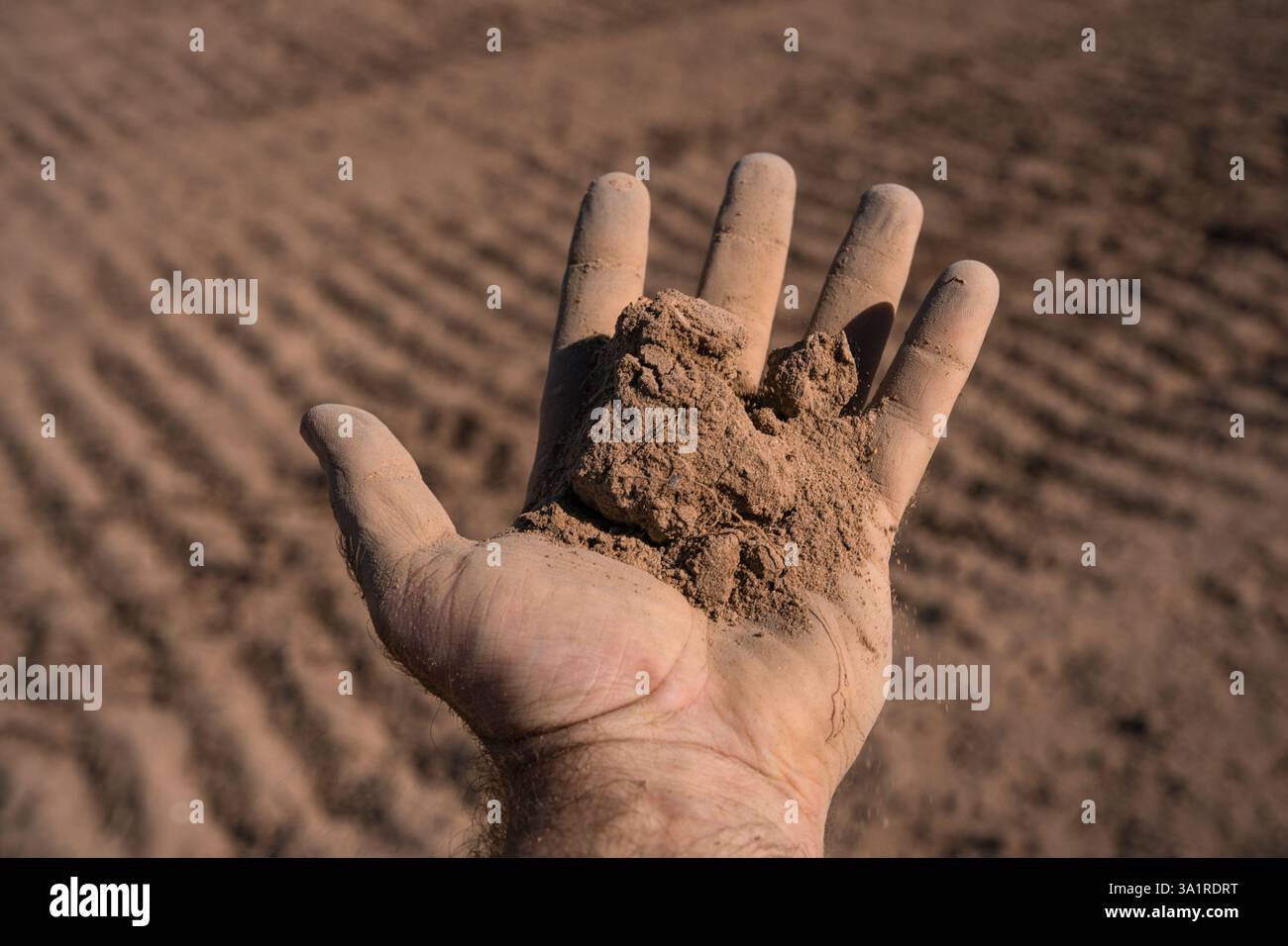 Closeup of Soil in Farmers hand. Soil testing before planting. Healthy ...