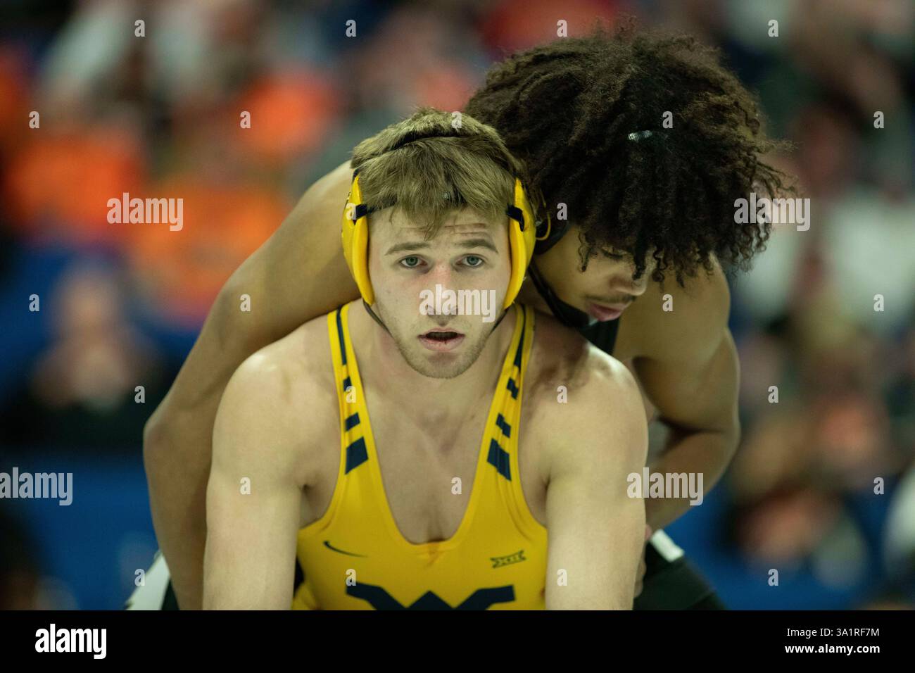 March 10, 2025, Tulsa, Oklahoma, USA: Missouri's CAMERON STEED rides on ...
