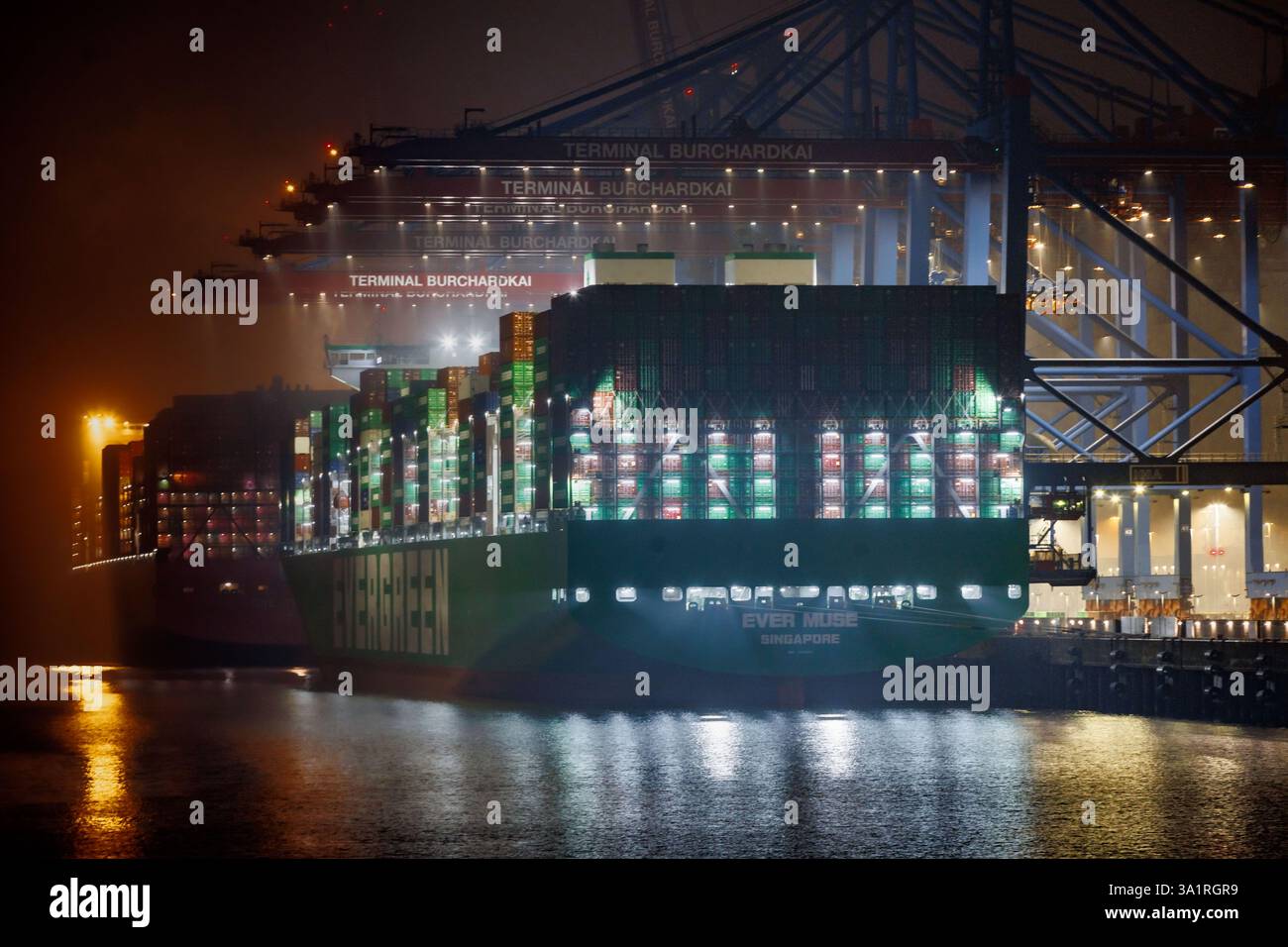 Hamburg, Germany. 10th Mar, 2025. The container ship Ever Muse is loaded and unloaded early in ...