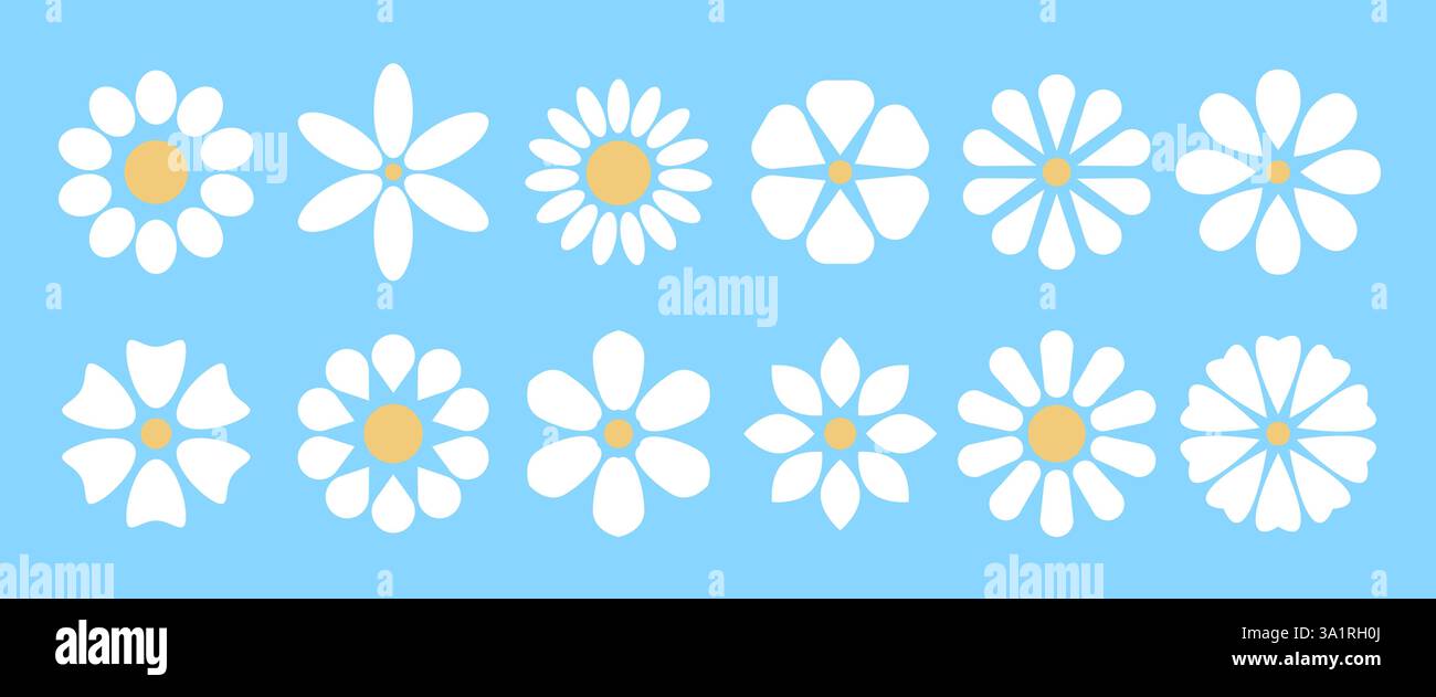 Daisy chamomile vector flower Stock Vector Images - Alamy