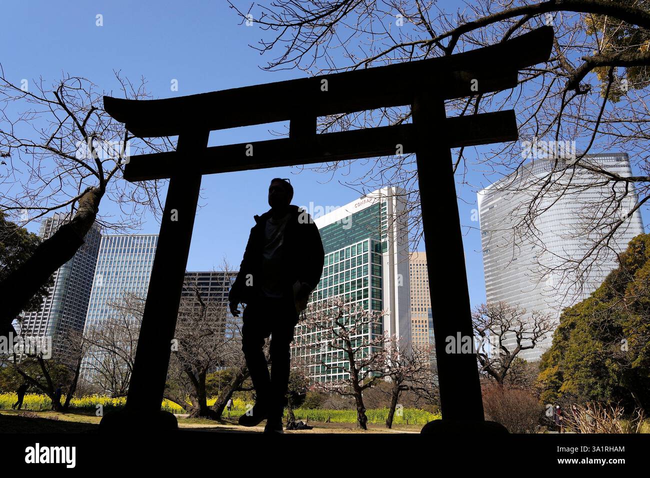 A visitor walks by a torii, or a shrine gate at Hamarikyu Garden Monday, March 10, 2025, in ...
