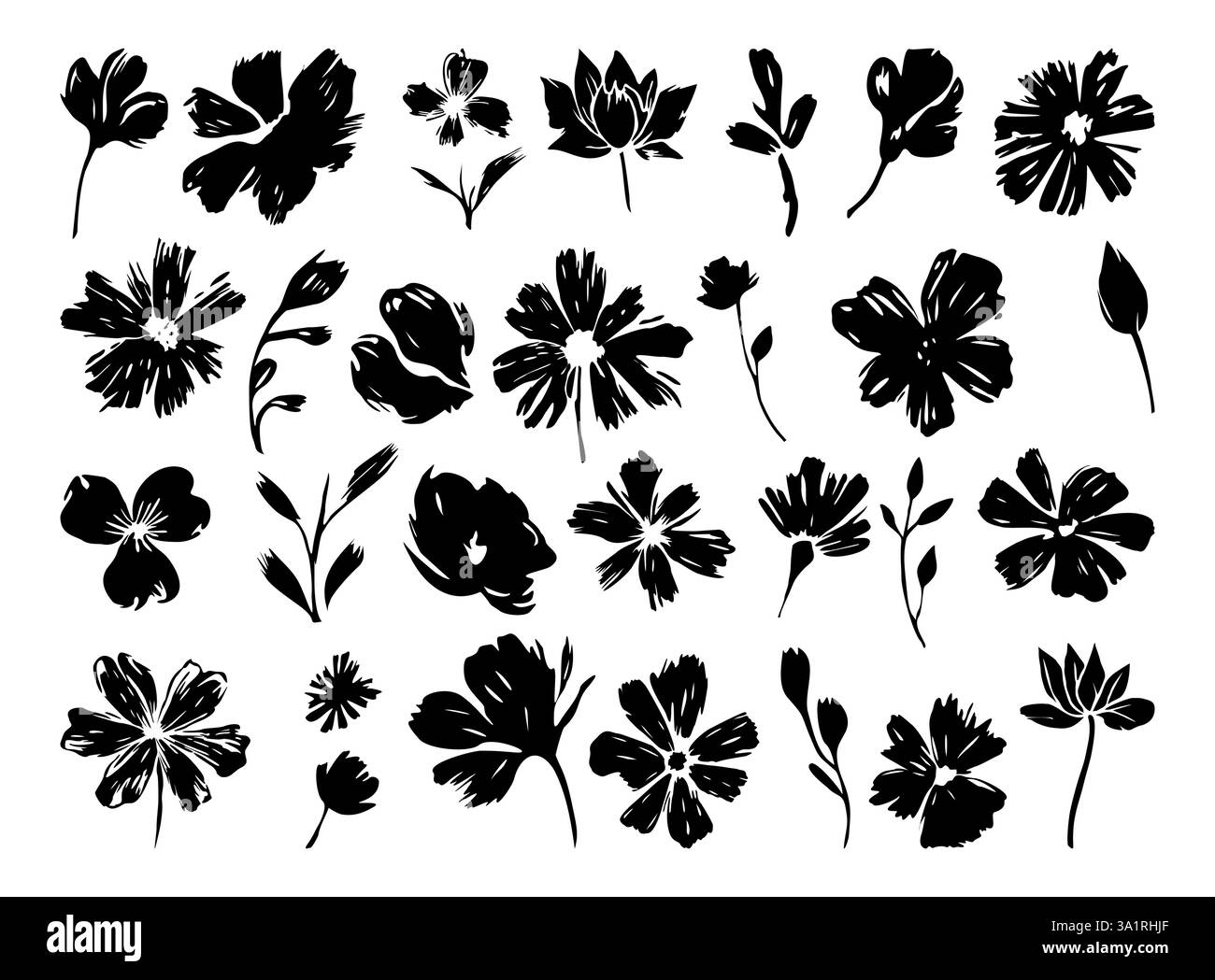 Various leaf sizes hi-res stock photography and images - Alamy