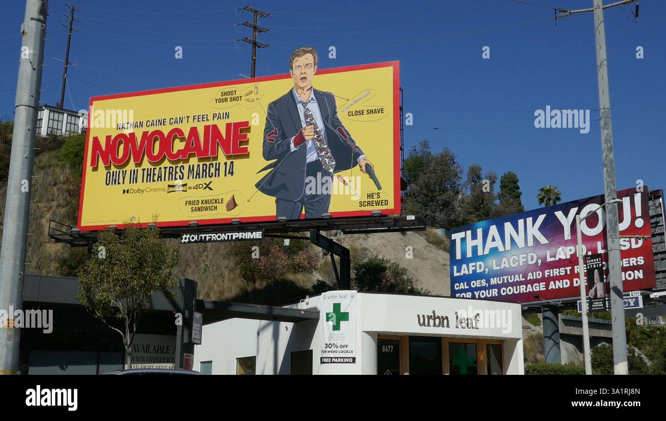 Los Angeles, California, USA 8th March 2025 Jack Quaid Novocaine ...