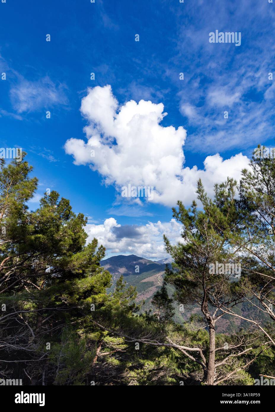 Clouds hover above the verdant slopes of Ida Mountains National Park in ...